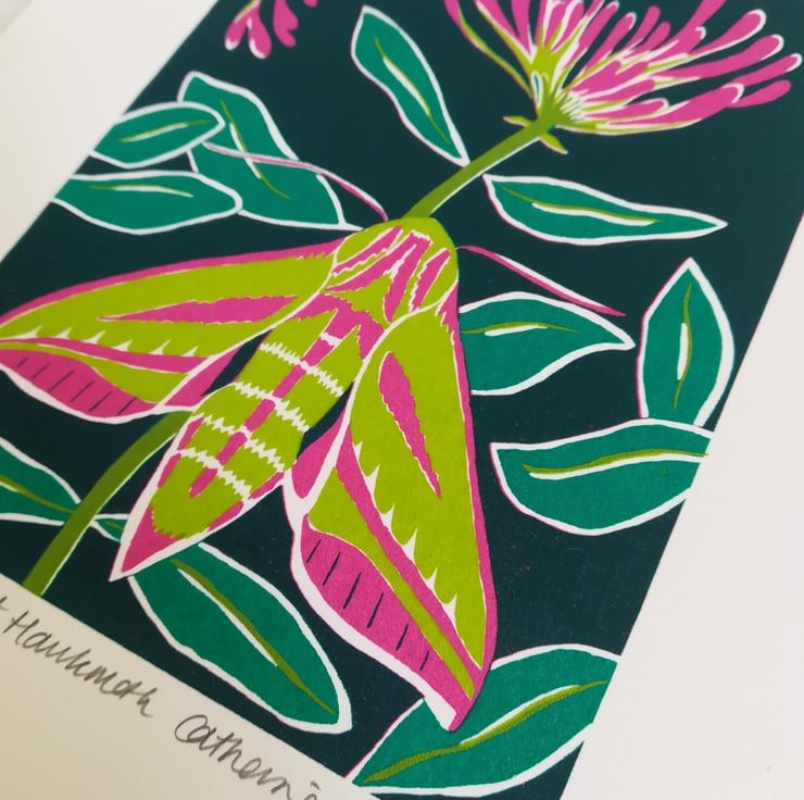 Elephant Hawkmoth screenprint - Folksy