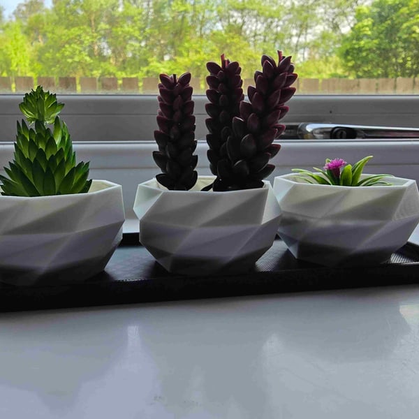 Trio of Eco-Friendly 3D Printed Plant Pots with... - Folksy