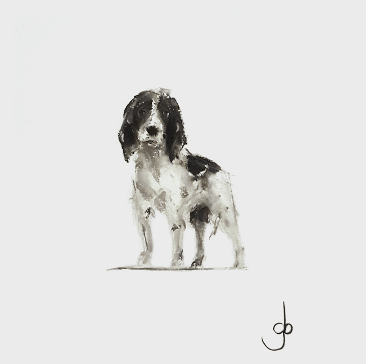 Springer Spaniel A5 Art Print - Folksy