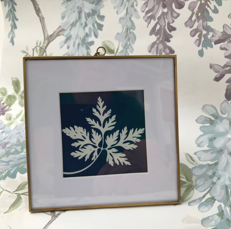 Botanical Framed Art, Cyanotype Original Photog... - Folksy