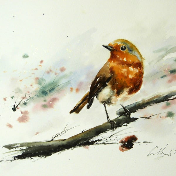 The Robin, Original Watercolour Painting. - Folksy
