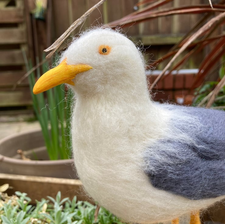 Seagull sculpture, needle felted woollen model - Folksy