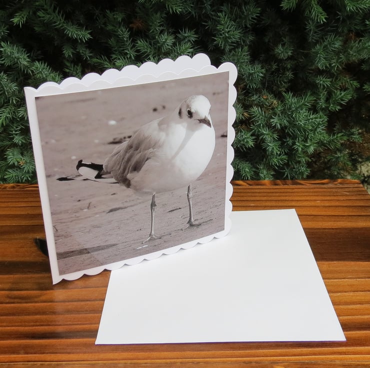 Wading gull. A blank card featuring an origina... - Folksy