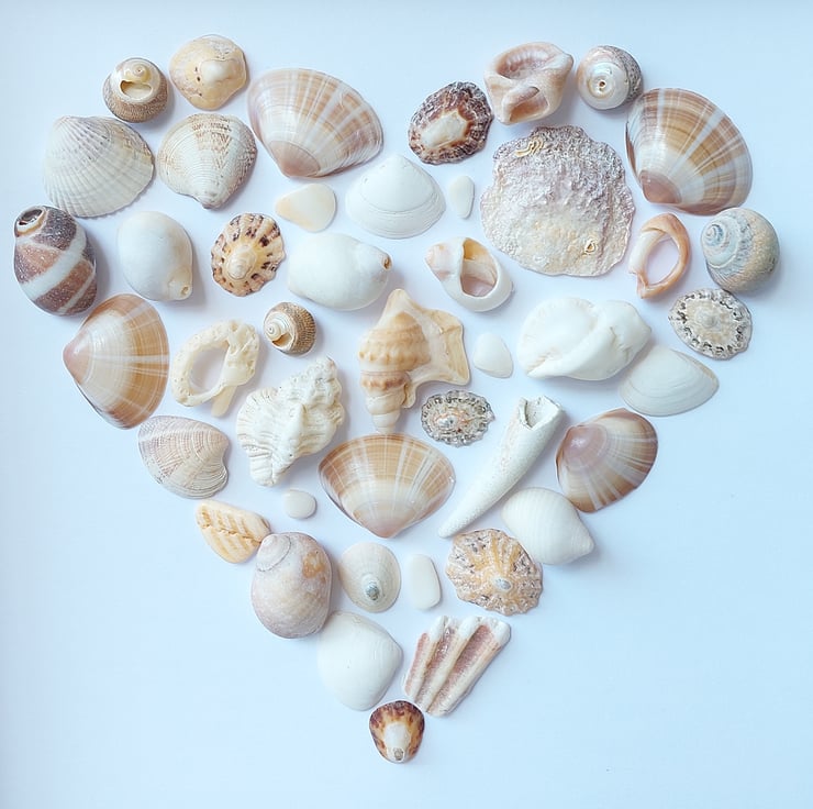Cornish shell heart - Folksy