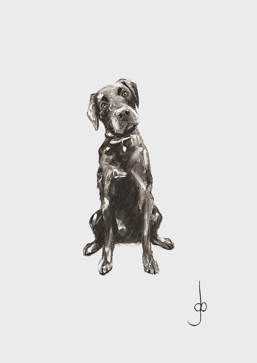 Labrador Sitting A5 Art Print - Folksy