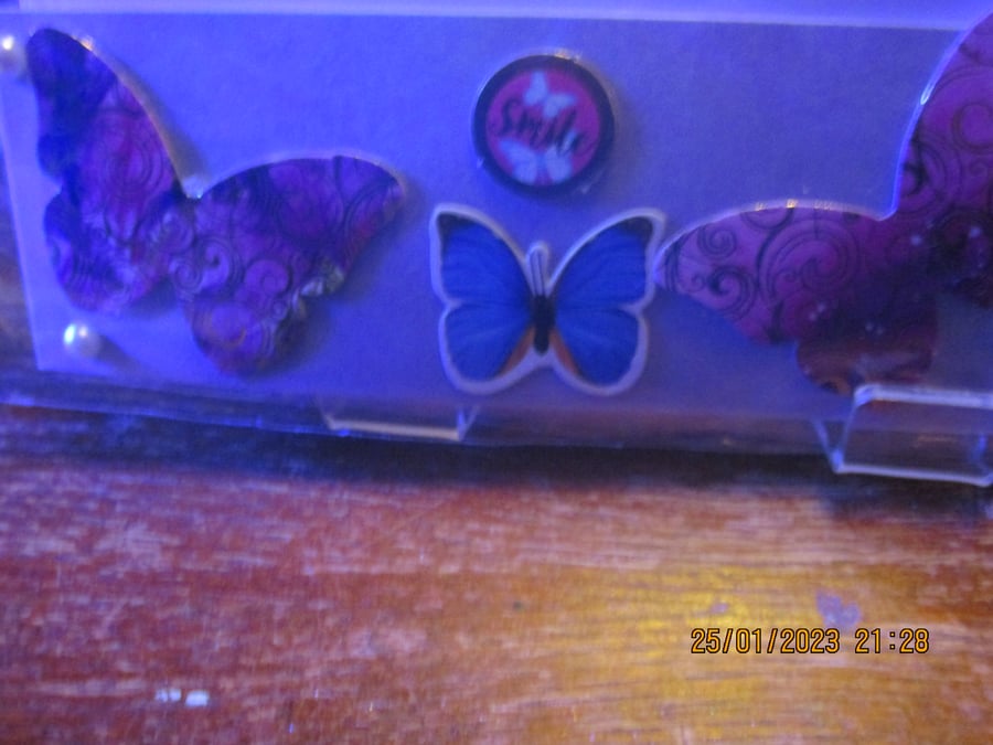 Butterflies Small Card - Folksy
