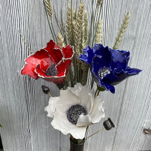 Coronation poppy flower display - Folksy