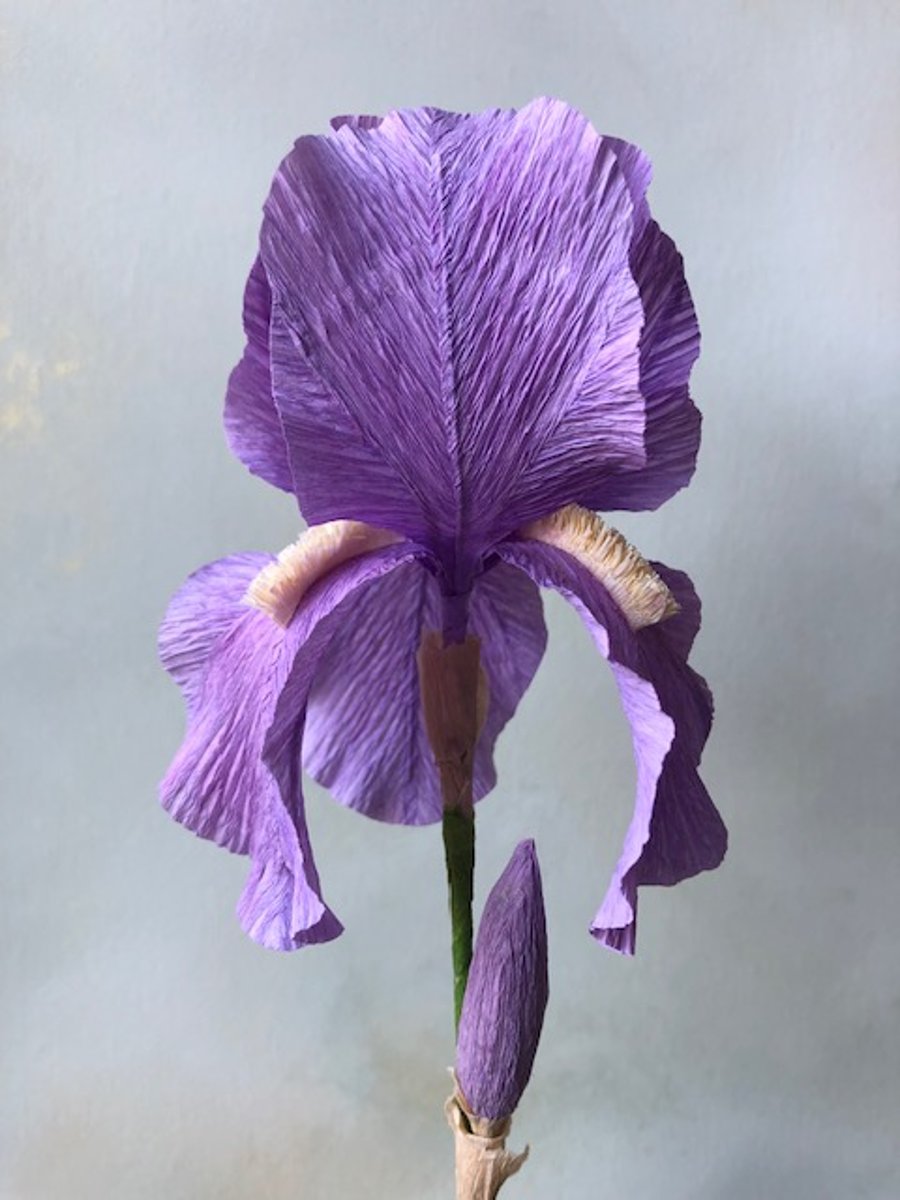 Paper flowers - iris - Folksy