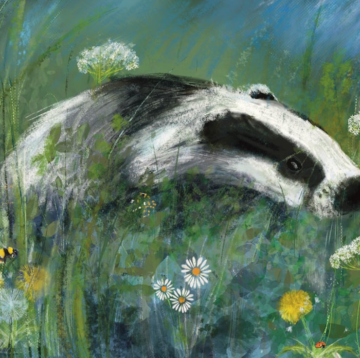 Art Print wildlife Badger - Folksy