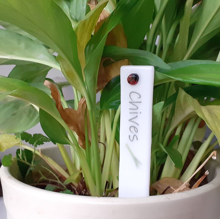 Fused glass vegetable herb plant seed label mar... - Folksy