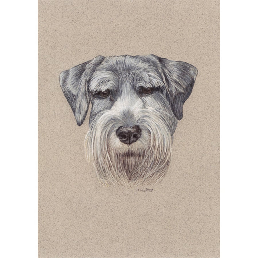 Schnauzer Dog Fine Art Print - Folksy