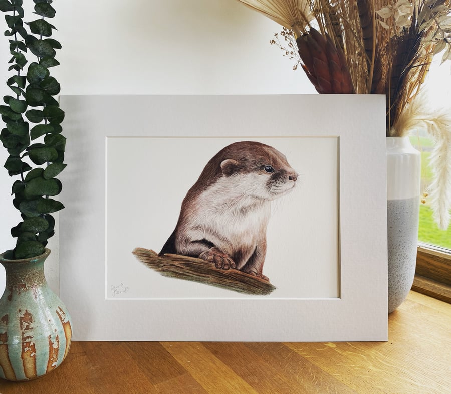 Otter Fine Art Print - Folksy