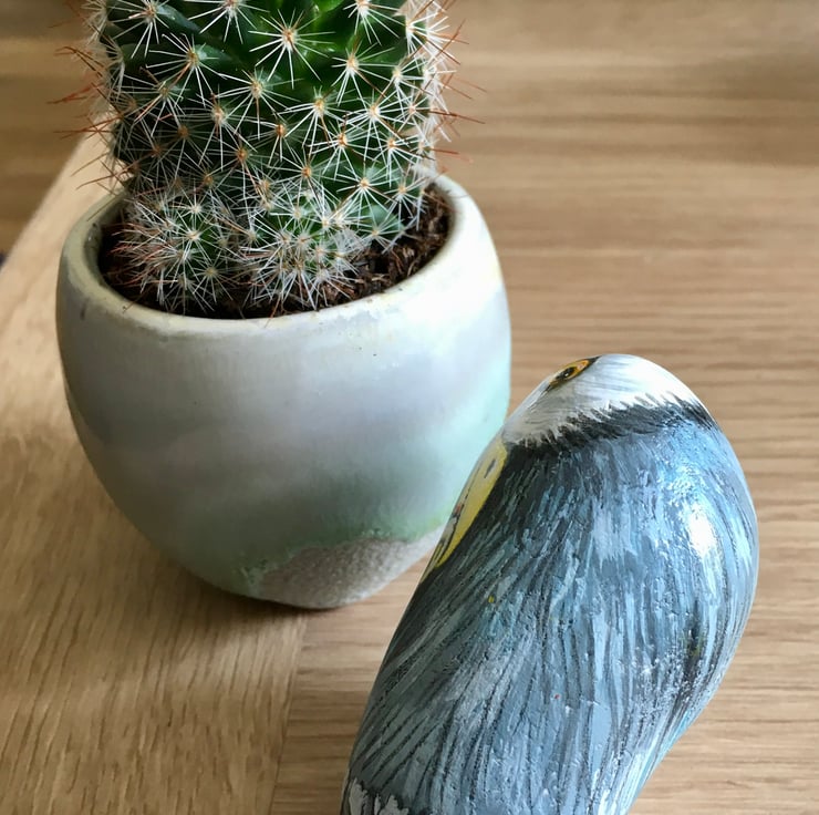 Seagull hand painted pebble bird wildlife portr... - Folksy