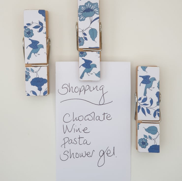 Bird fridge Magnets - magnetic pegs set of 3 - Folksy