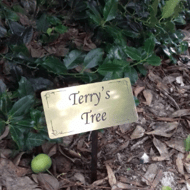 Personalised Memorial plaque, Dedication tree m... - Folksy