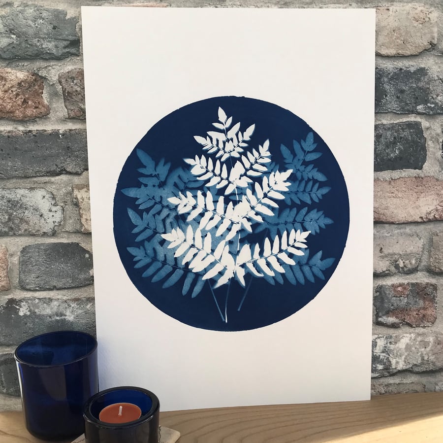 Cyanotype Original Art is Fern friendly - Folksy