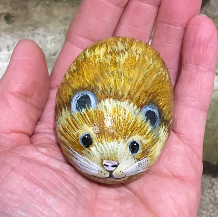 Hamster hand painted pebble garden rock art wil... - Folksy