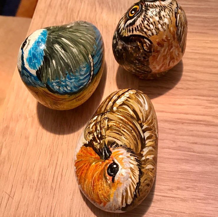 Bluetit robin owl bird hand painted rocks garde... - Folksy