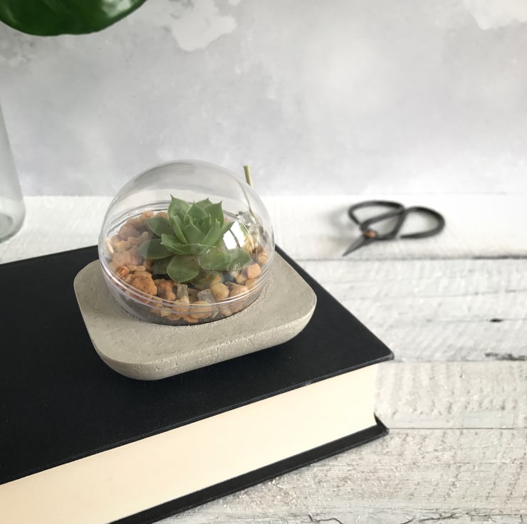 Concrete Terrarium mini Succulent planter II - Folksy