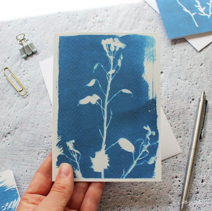Honesty Plant Botanical Cyanotype Greeting Card... - Folksy
