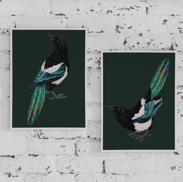 Magpie illustration, Bird illustration, Folklor... - Folksy