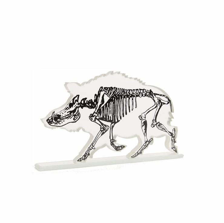 Xray Wild Boar Skeleton Glass Sculpture - Folksy