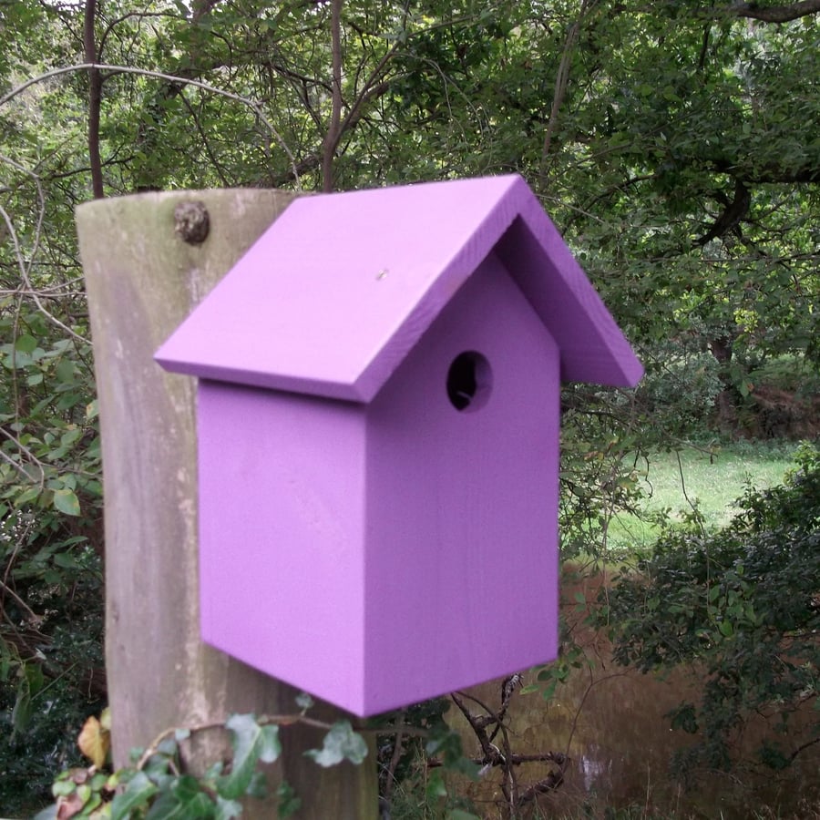 Bird Box in 'Purple Pansy' - Folksy
