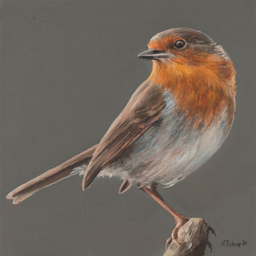 Robin Turning Oil Painting- High Quality Art Print - Folksy