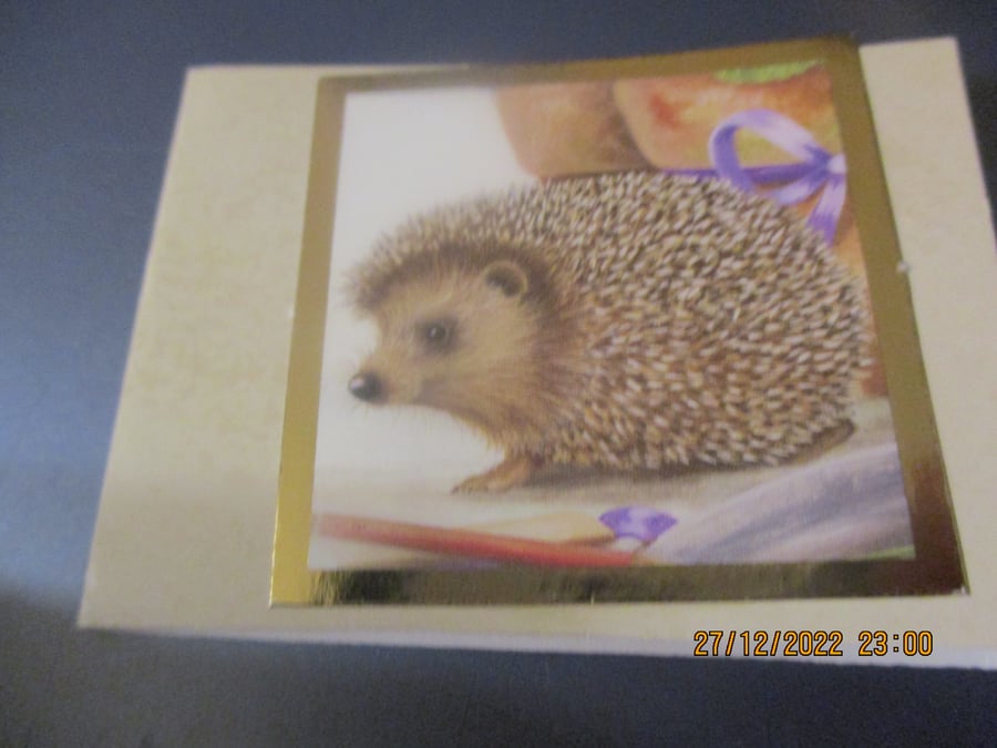 Hedgehog Gift Tag - Folksy