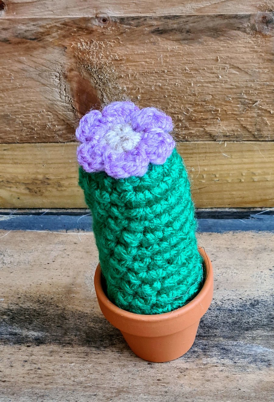 Crochet Cactus plant - Folksy