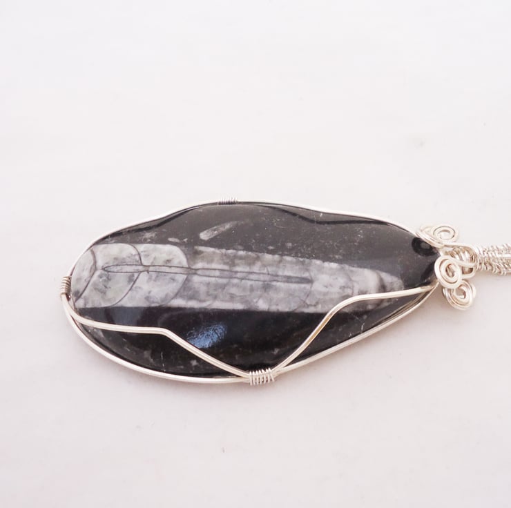 Fossil Pendant, Fossil Wire Wrapped Pendant, Fo... - Folksy