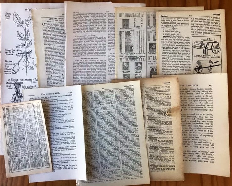 Vintage Book Page Pack - 10 Assorted Book Pages... - Folksy