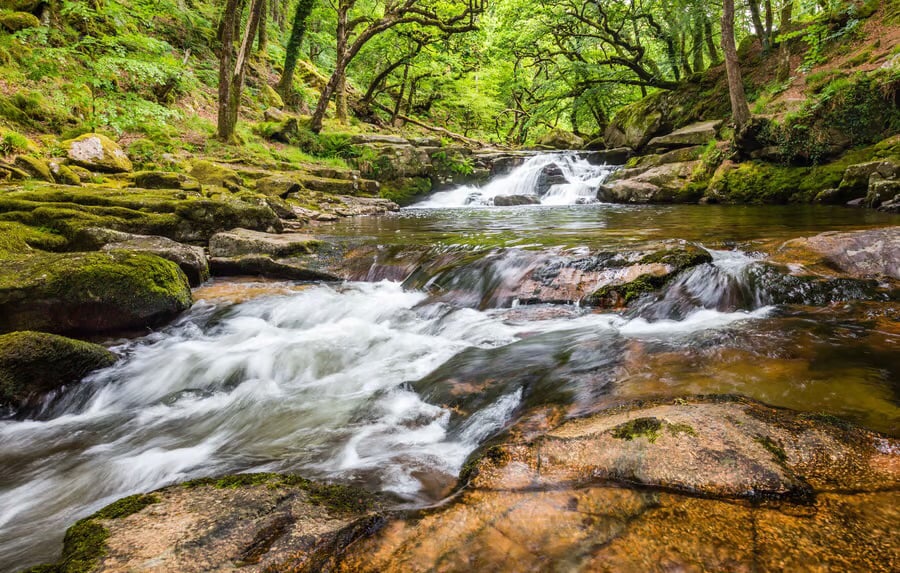 Photography print of the River Plym at Cadover ... - Folksy