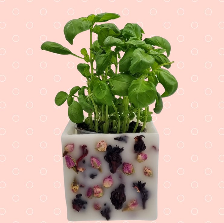 White Wax Plant Pot Holder Square Container Wit... - Folksy