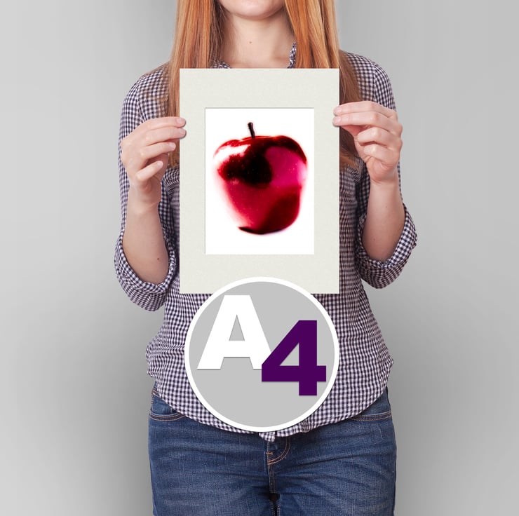 Healthy Red Amsterdam Apple - Print in A4 or A3... - Folksy