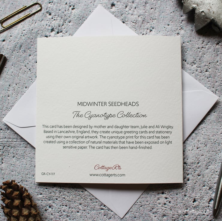 Christmas Card Midwinter Seedhead Cyanotype Car... - Folksy