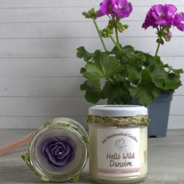 Hello Wild Dansom - Folksy