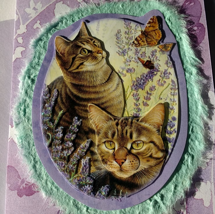 Tabby cats card - Folksy