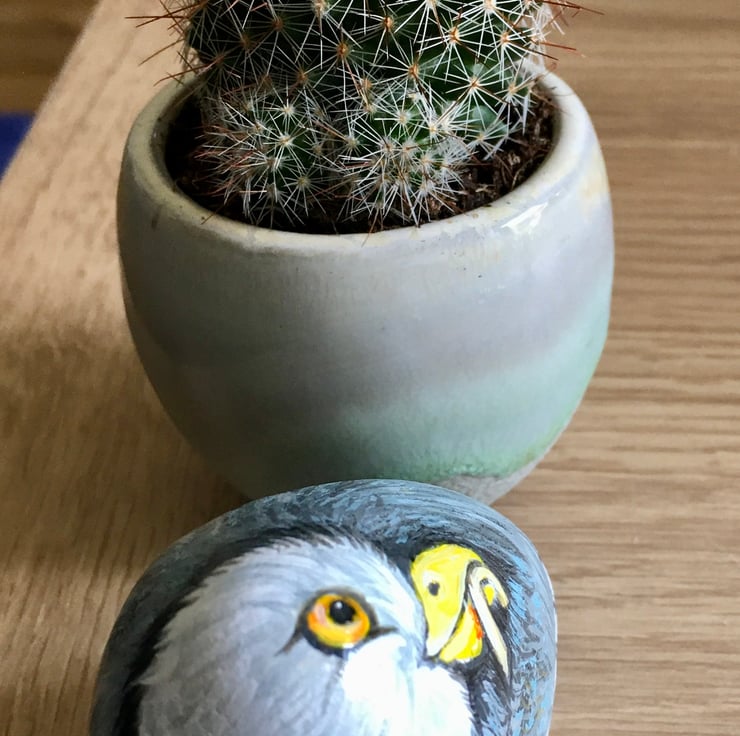 Seagull hand painted pebble bird wildlife portr... - Folksy