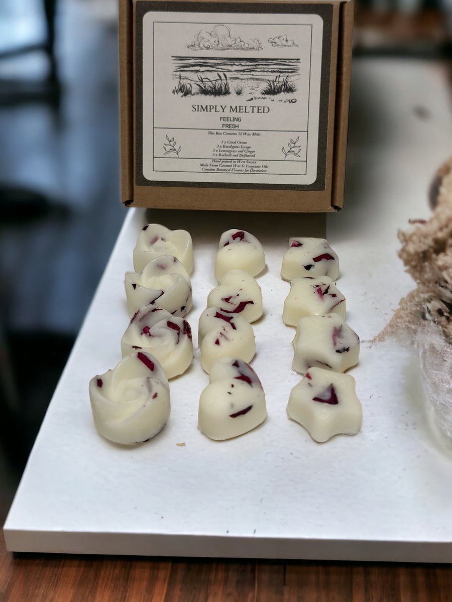 Feeling Fresh Highly Scented Wax Melt Box Set S... - Folksy