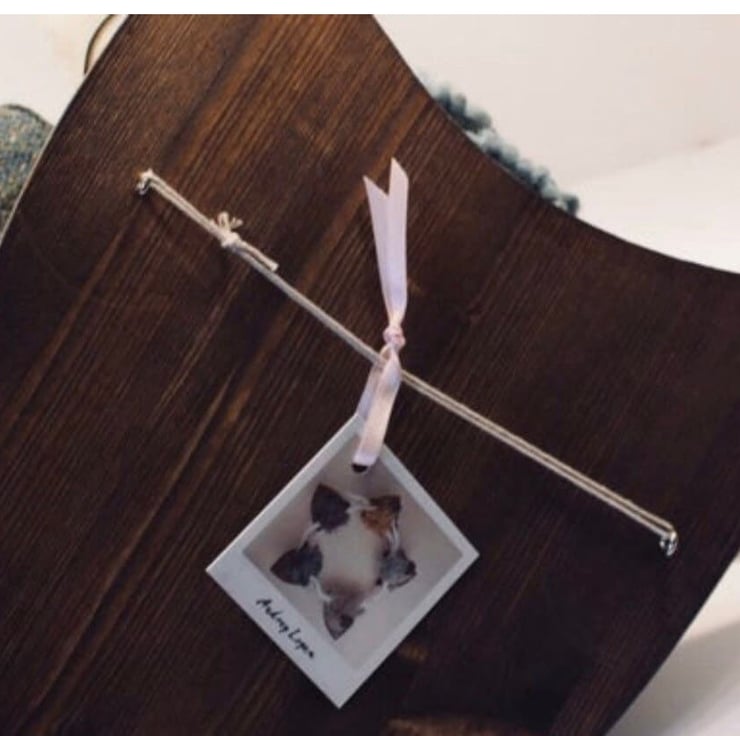 Handmade Highland cow trophy head, made in tart... - Folksy