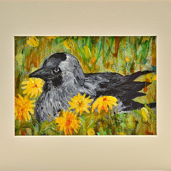 Original Painting of Jackdaw Sunbathing (10x8 i... - Folksy