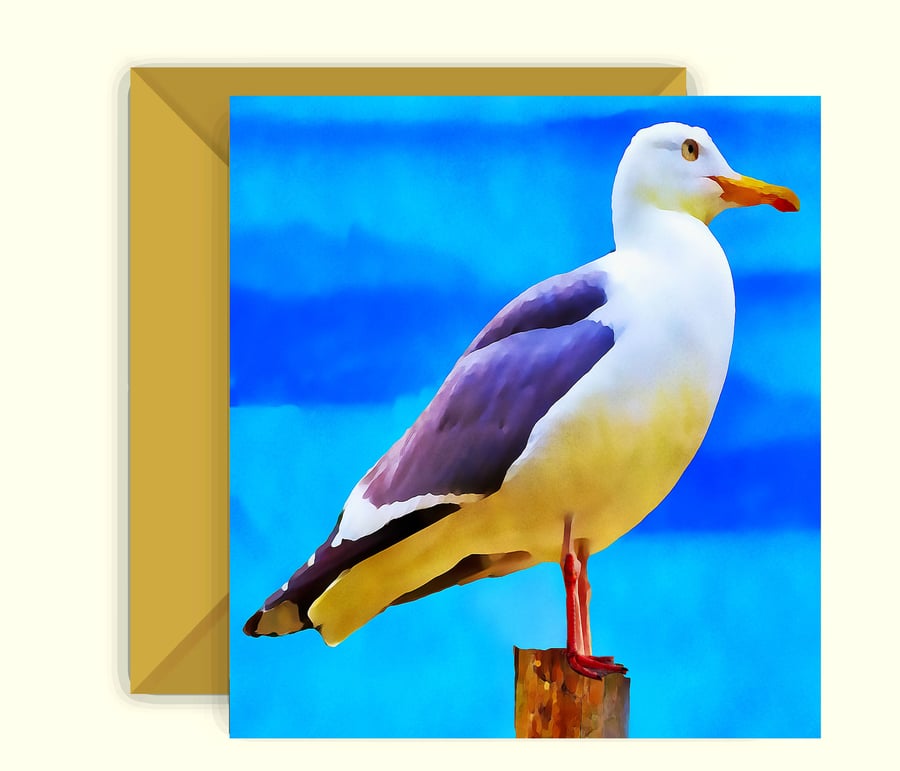 Seagull Birthday, Greeting Card - Folksy
