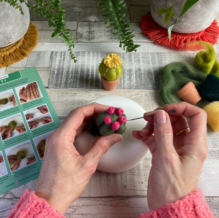 Needle felting kit - Cacti - wool craft project... - Folksy