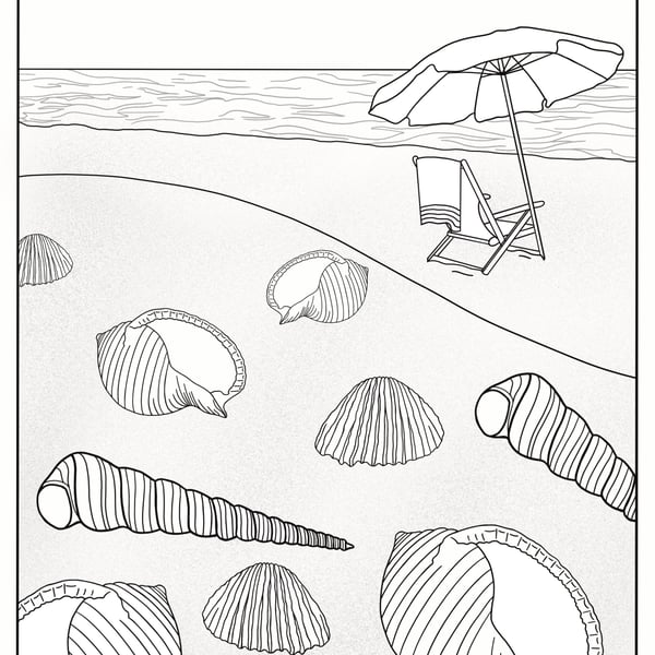 Shells on the Beach Colouring-in Sheet - printa... - Folksy