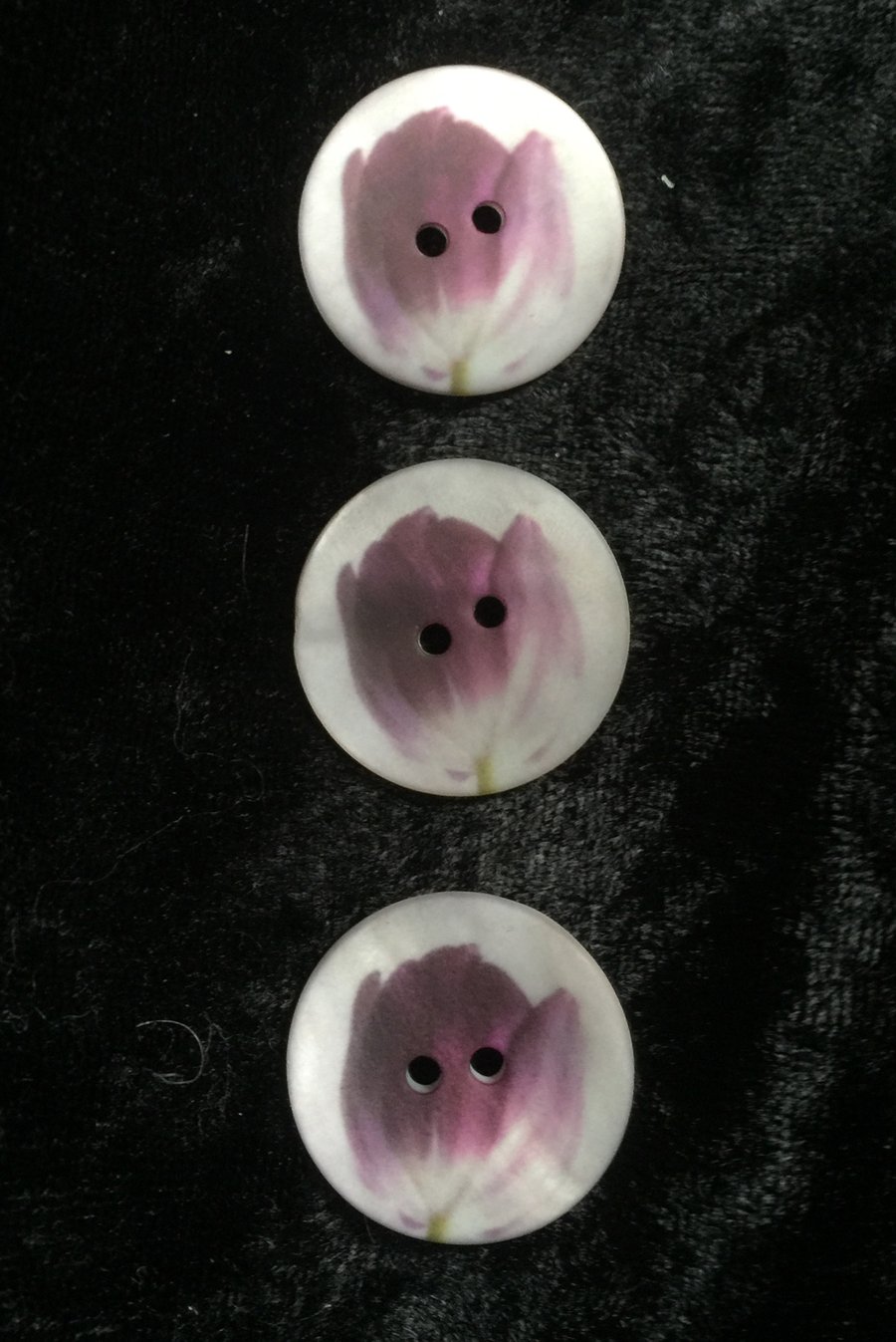 Shell Purple Tulip Button - Folksy
