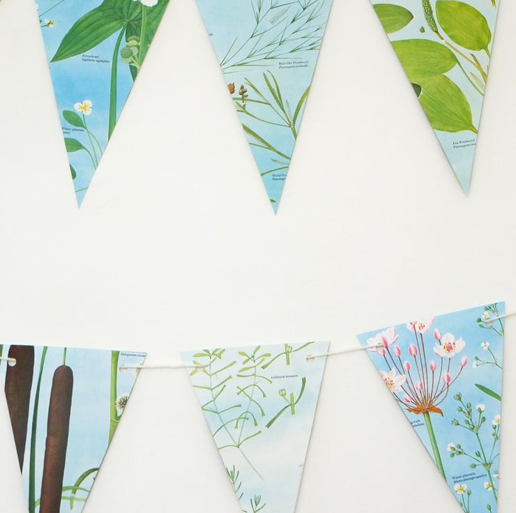 Botanical Bunting - Folksy