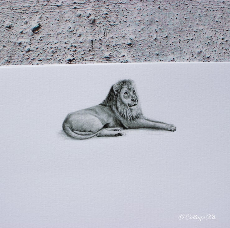 Lion Graphite Drawing Letter Writing Paper Hand... - Folksy