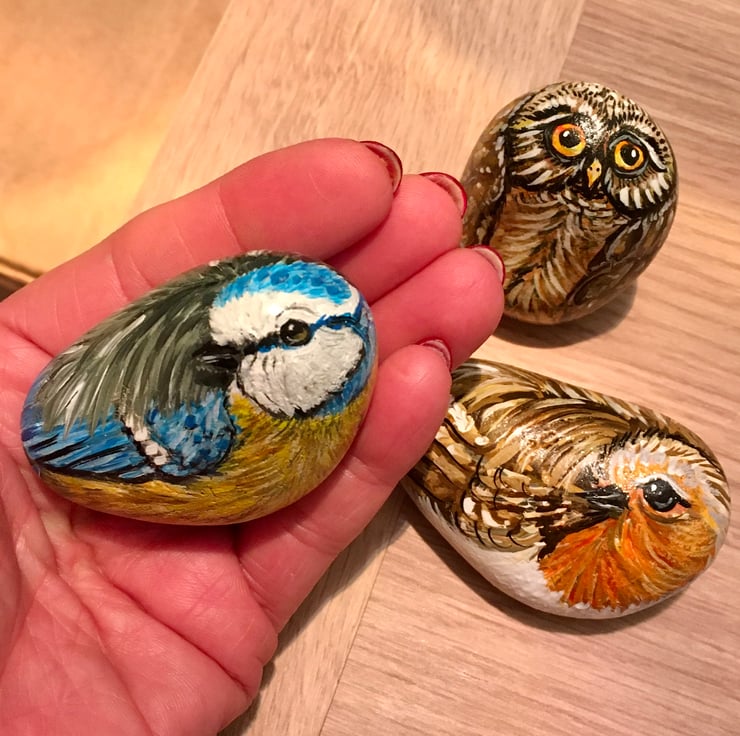 Bluetit robin owl bird hand painted rocks garde... - Folksy
