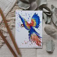 Macaw parrot original painting. Water colour pa... - Folksy